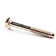 Amazon.com : Briggs & Stratton 690670 Screw Replaces 94872, 94120 ...