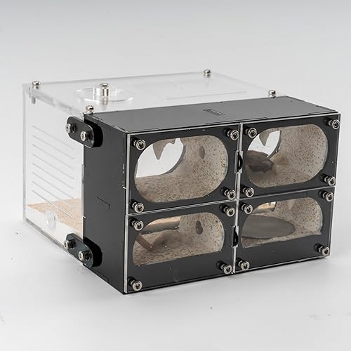 Acrylic Ant Farm Terrarium – Formicarium Ant Nest Habitat System ...