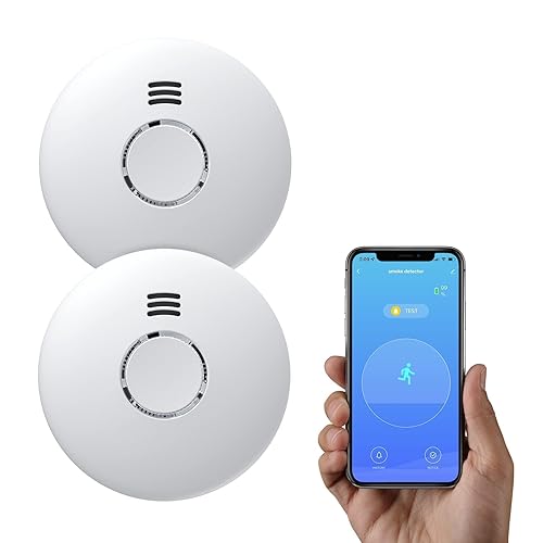 Ecoey WiFi Smoke Detector, WiFi Smoke Alarm with Photoelectric ...