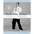 Back Pain Relief: Chinese Qigong for Healing and Prevention: Yang Ph.D ...