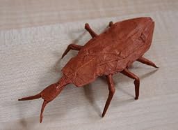 Origami Insects and Their Kin (Dover Origami Papercraft): Amazon.co.uk ...