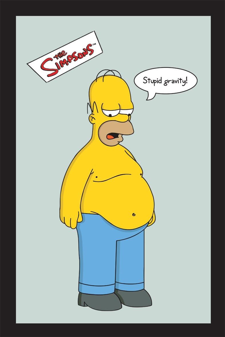 Homer Simpson Mirror - Stupid Gravity - 30cm x 20cm: Amazon.co.uk ...