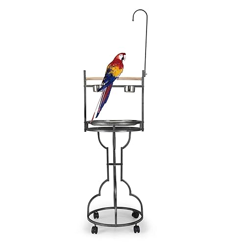COZIWOW 72" Parrot Stand,Stainless Steel Tray Bowls Large Bird ...