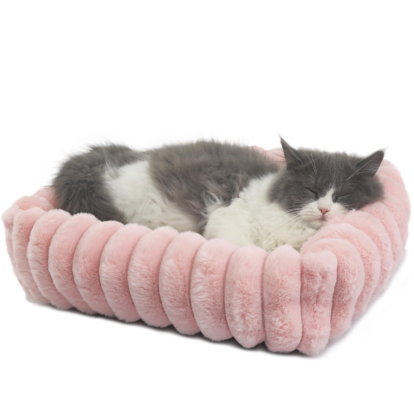 Extra Small Dog Bed with Sides for Tiny Pet Soft Calming Sleeping ...