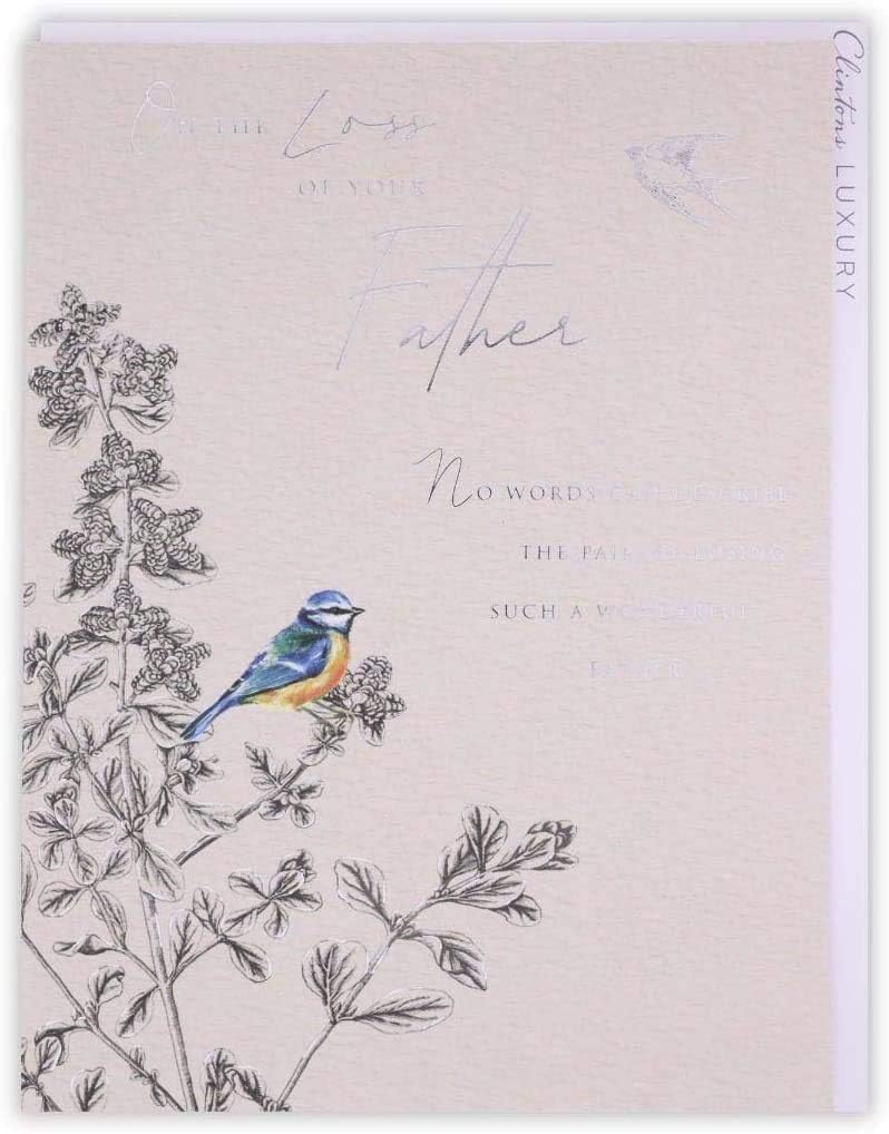 Clintons: Birds, Sympathy Card, 149x195mm, multi-color – BigaMart