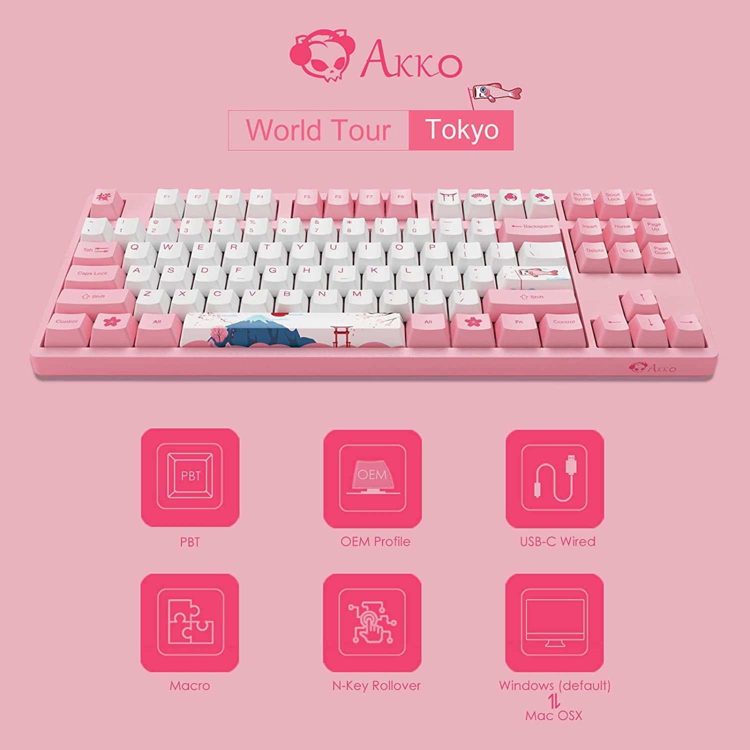 Mua Akko TKL Wired Gaming Mechanical Keyboard, Programmable with OEM ...