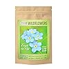 Created by Nature Forget Me Not Seeds, 5,000 Blue Biennial Wildflower ...