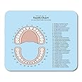 Amazon.com: Emvency Mouse Pads Pink Education Tooth Chart Number ...