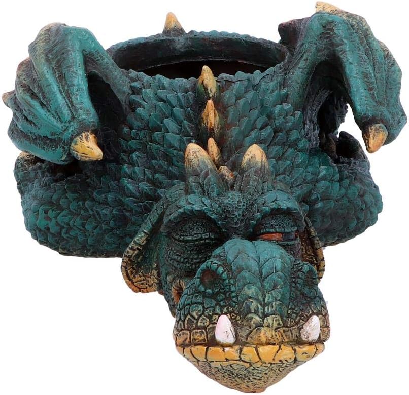Nemesis Now Dozing Dragon Plant Pot 31.8cm, Resin, Green, One Size ...