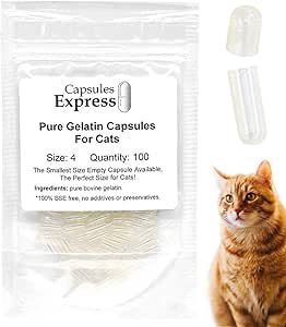 Amazon.com: Capsules Express- Size 4 Clear Empty Gelatin Capsules for ...