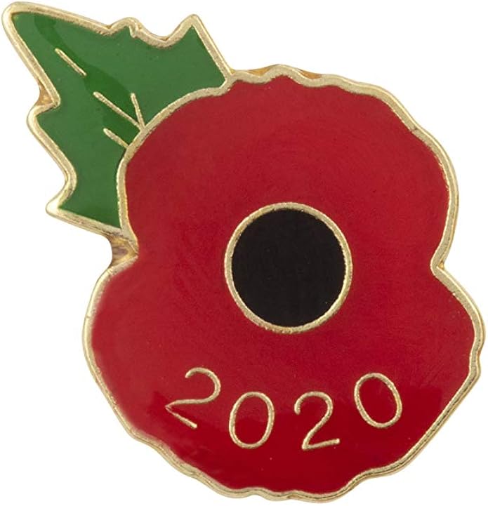 The Royal British Legion £5 Dated Poppy Appeal Pin 2020: Amazon.co.uk ...