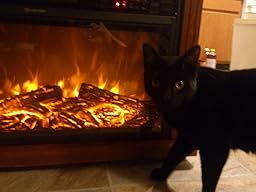 Amazon.com: XtremepowerUS Infrared Quartz Electric Fireplace Heater ...