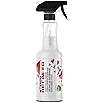 Amazon.com: MAXL® Interior Car Cleaner Detailer Spray with NeverDust ...
