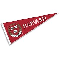 Amazon.com : MIT Pennant Full Size Felt : Sports & Outdoors