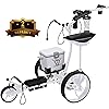 The Pro Wireless Remote Control Electric Golf Cart, Built-in 6 Pack ...