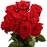 Amazon.com: 50 Assorted Roses- Two Different Colors- Fresh Flowers Next ...