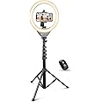 UBeesize 10’’ Selfie Ring Light with Stand and Phone holder, LED Ring ...