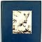Skinny, the gray fox, : Agnes Akin Atkinson: Amazon.com: Books