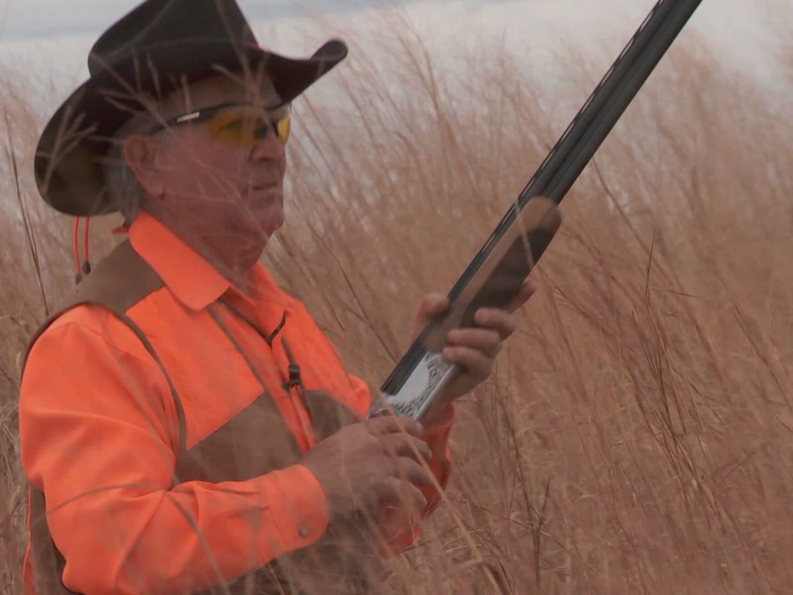 Watch Gun Dog TV - Season 7 | Prime Video