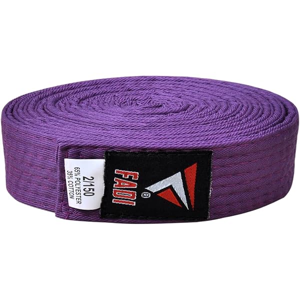 Taekwondo Purple Belt Requirements