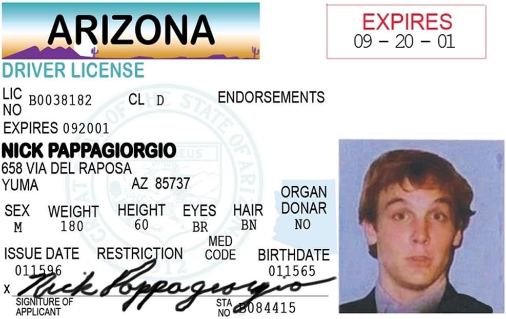 Signs 4 Fun NIDPG Nick Pappageorgio's Driver's License: Amazon.ca: Home ...