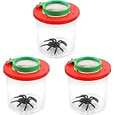 Amazon.com: Insert Bug Viewer Magnifier Backyard Explorer Insect Bug Viewer Collecting Kit for ...