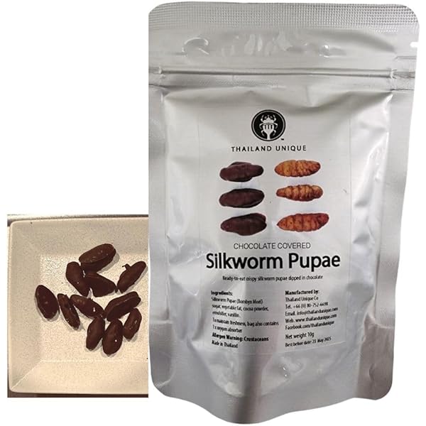 Grandes Insectos Cubiertos De Chocolate