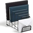 Amazon.com : 1InTheOffice Metal Incline Desktop File Sorter, Black Wire ...