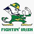 Amazon.com: Fighting Irish Sticker Decal Vinyl Bumper Sticker Decal ...