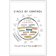 Amazon.com: Osdfem Circle Of Control Poster Mental Health Poster What I ...