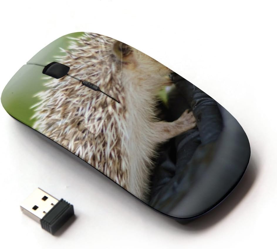 Amazon.com: FJCases Hedgehog Animal 2.4 GHz Ergonomic Wireless Mouse ...