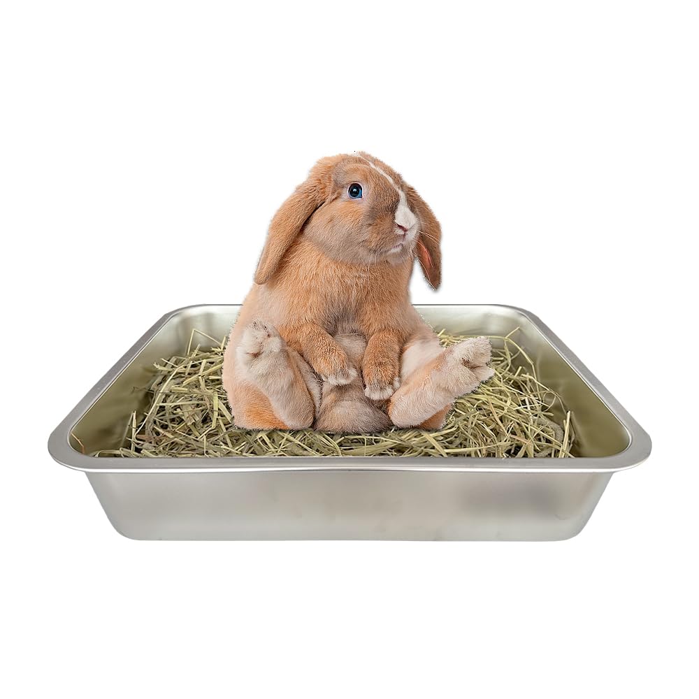 Large Stainless Steel Litter Box for Rabbits, Guinea Pigs, Chinchillas ...