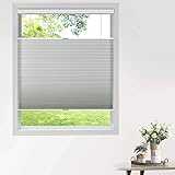 Amazon.com: Bali Blinds Bottom-Up/Top-Down Cordless Cellular Shades ...