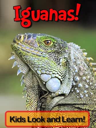 Iguanas! Learn About Iguanas and Enjoy Colorful Pictures - Look and ...