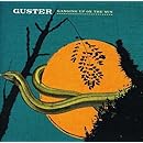 Guster - Ganging Up On The Sun - Amazon.com Music