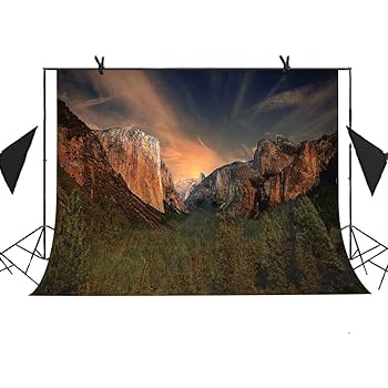 Amazon.com: AOFOTO 8x6ft Snow Mountain Backdrops Forest Trees Photo ...
