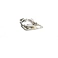Amazon.com: Genuine Crystal Quartz Mini Conch Shankha Shell Chakra ...