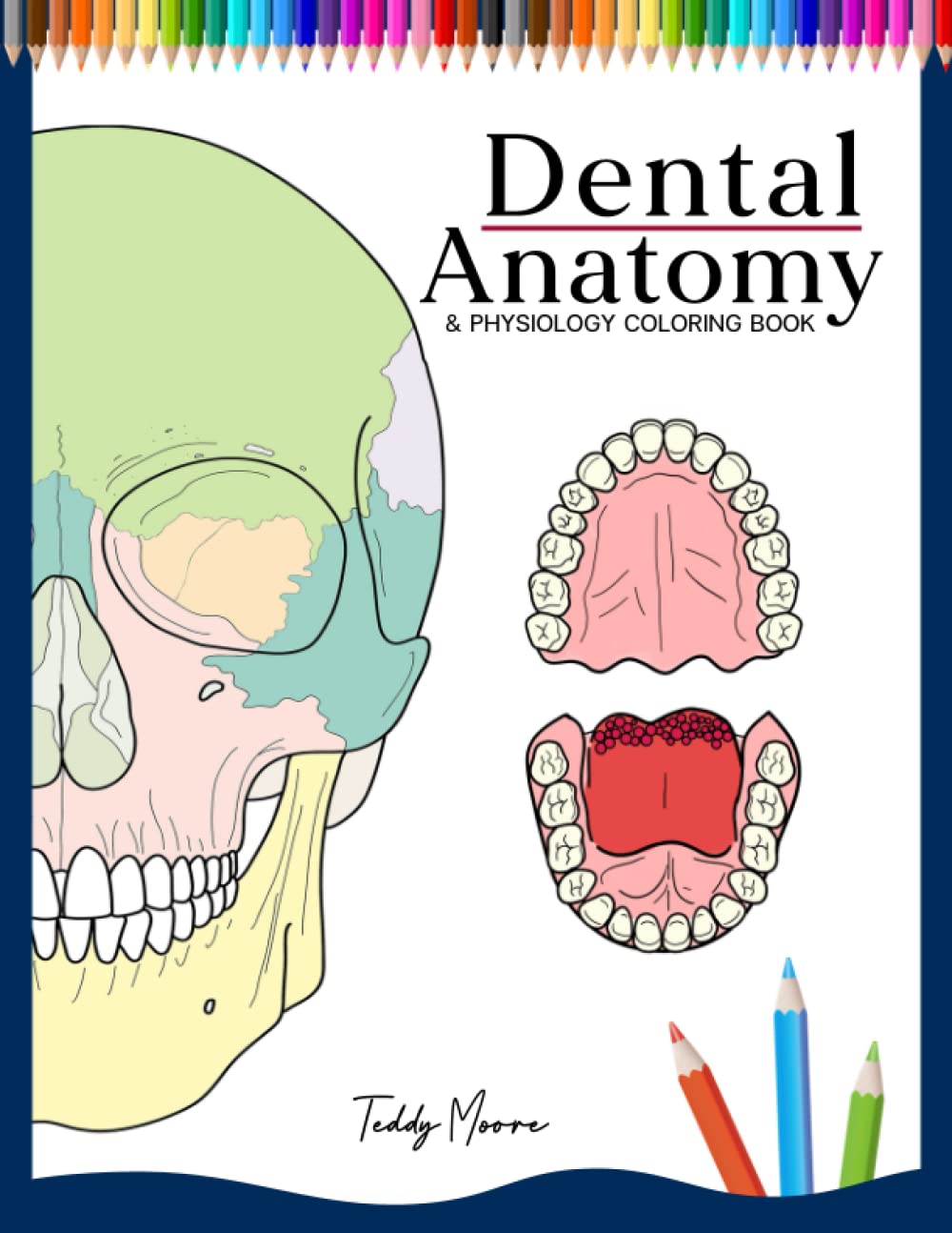 Dental Anatomy Coloring Pages