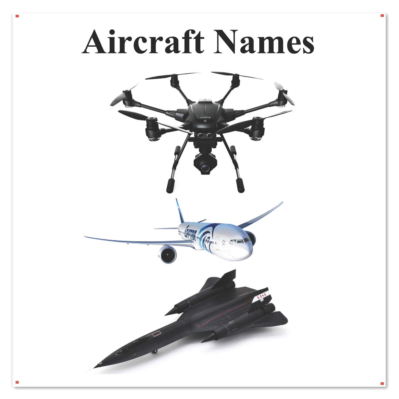 Mua Aircraft Names: Picture Aircraft Names trên Amazon Nhật chính hãng ...