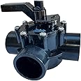Amazon.com: FibroPool Swimming Pool Check Valve - 1 1/2 Inch - Positive Seal & Non Lube ...
