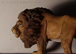 Amazon.com: CollectA African Lion: Toys & Games