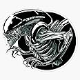 Amazon.com - Aliens Xenomorph Bumper Sticker Vinyl Decal 5"