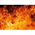 Amazon.com : BELECO 7x5ft Fabric Raging Fire Backdrop Flames Backdrop ...