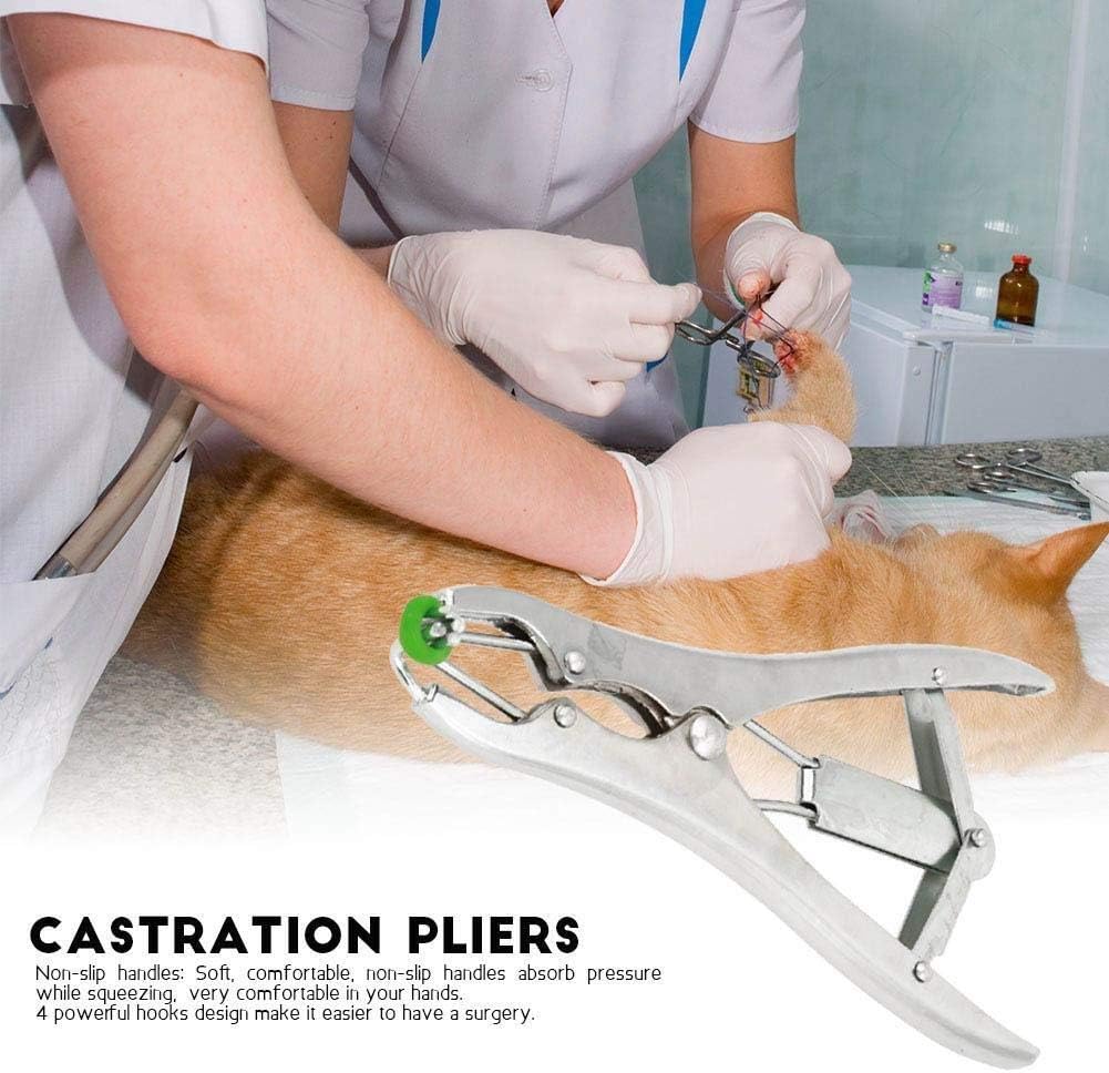 Broco Stainless Steel Castration Pliers Clamp with 100PCS Tail Docking ...