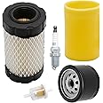 Amazon.com: 793569 793685 Air Filter Replacement for Briggs and ...