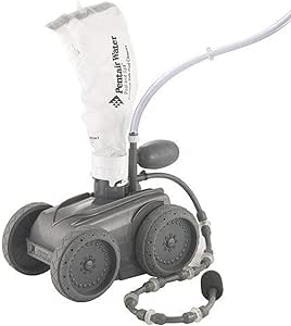 Pentair LL105PMG Legend Platinum IG Pool Cleaner : Amazon.ca: Patio ...