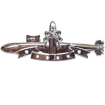 Amazon.com: U.S. Navy Crest Chrome Auto Emblem: Automotive