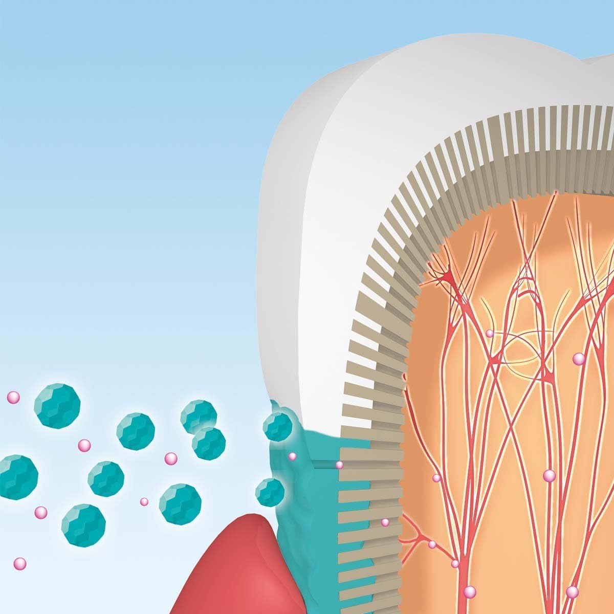 miradent hap+ Toothpaste for Hypersensitive teeth 50 ml – BigaMart
