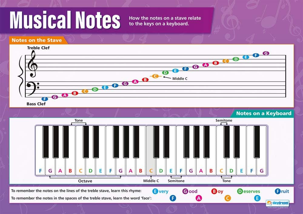 Musical Notes | Music Posters | Laminated Gloss Paper measuring 850mm x ...