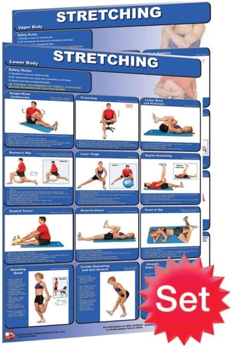 Stretching Poster Chart Set: Laminated (1) Neck, Shoulders, Back, Chest ...